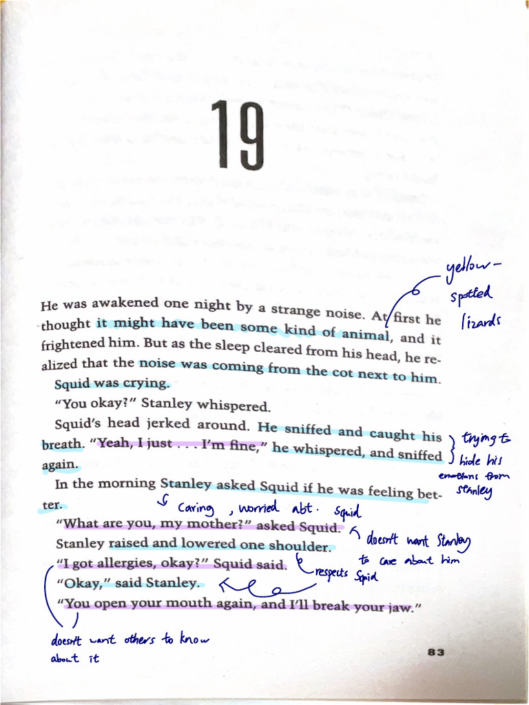 Holes Chp19 With Notes | PDF