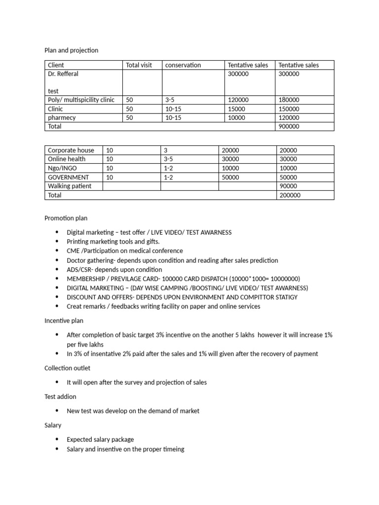 Incentive and Promotion Plan Overview | PDF