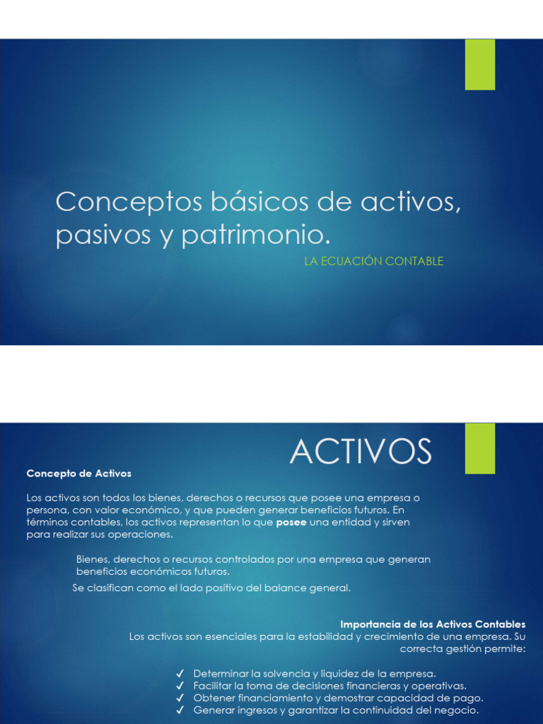 Conceptos Básicos de Activos y Pasivos | PDF | Contabilidad | Business