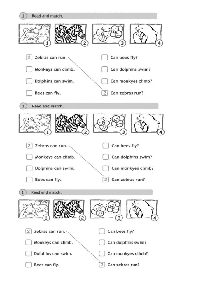 Can Can? | PDF