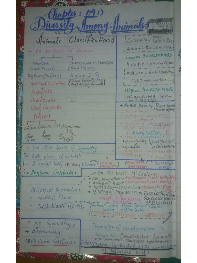 Animalia Complete | PDF