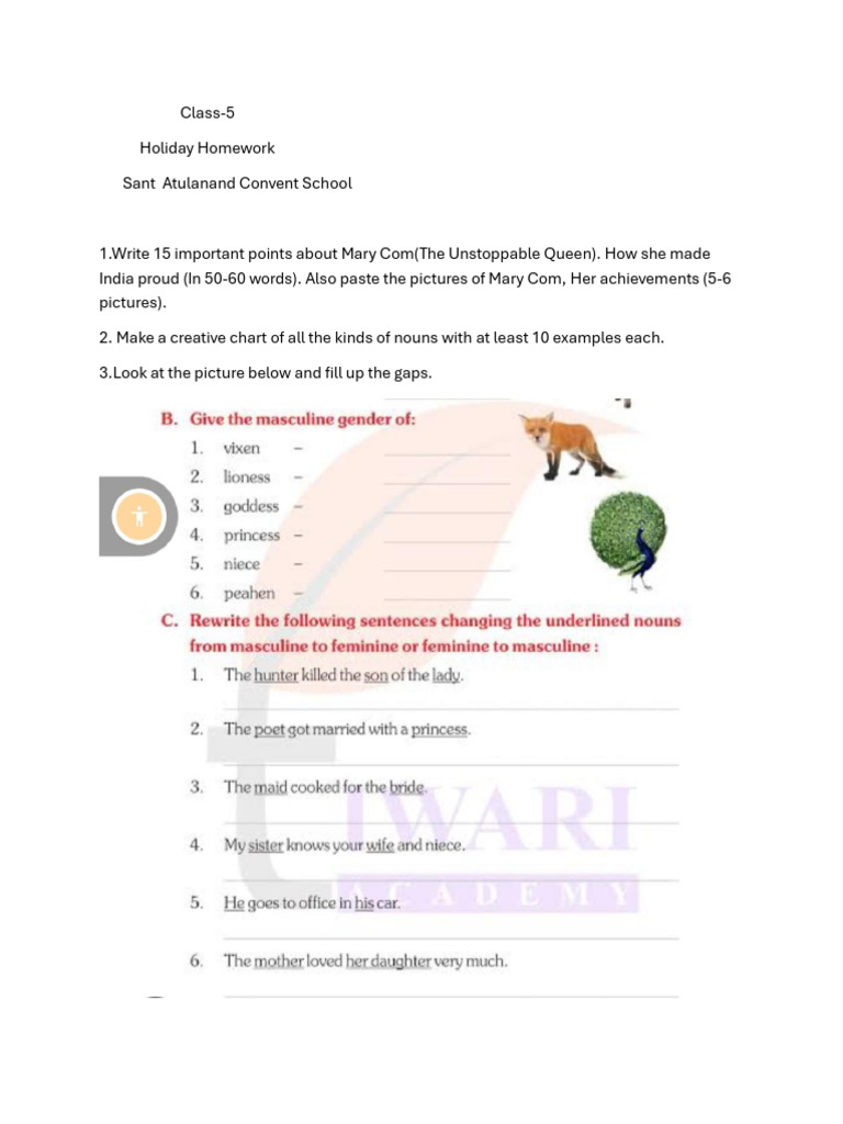 Class 5 Summer Holiday Home Work | PDF