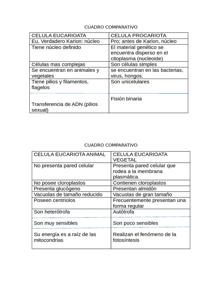 Cuadro Comparativo de Celulas Eucariota y Procariota | PDF