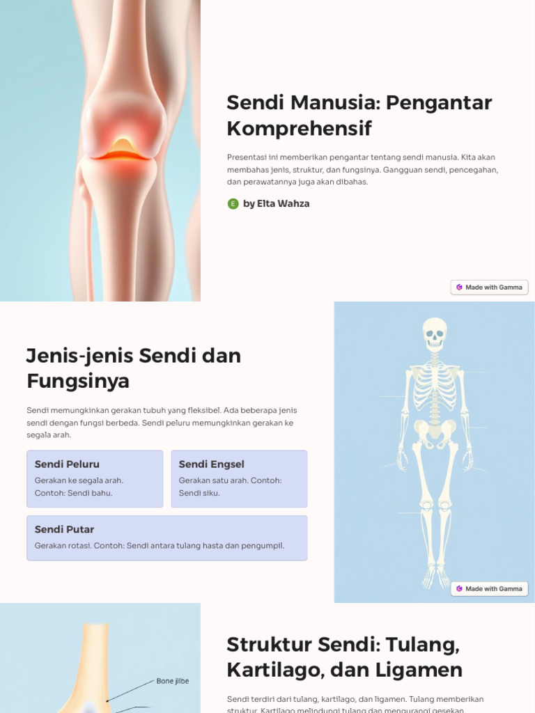 Sendi Manusia Pengantar Komprehensif | PDF