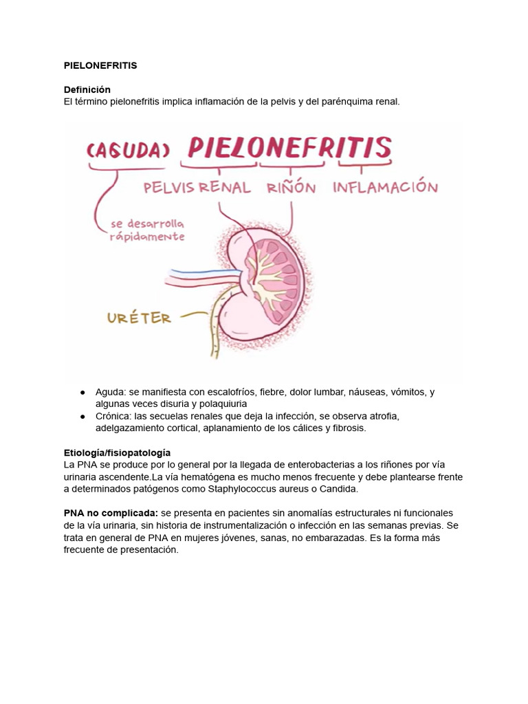 Pie Lo Nefritis | PDF | Inflamación | Escherichia coli