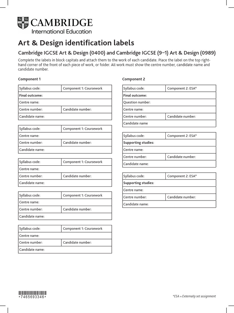 Edexcel IGCSE Art & Design Syllabus 2026 | PDF