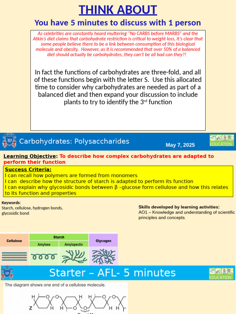 4 Complex Carbohydrates | PDF | Carbohydrates | Cellulose