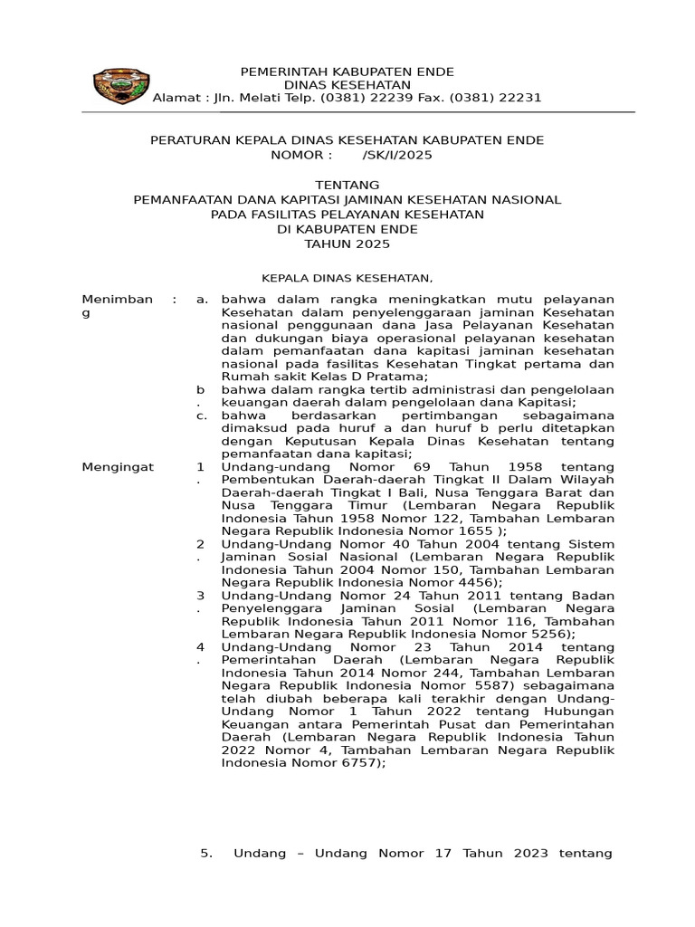 SK Kadis Pemanfaatan Dana Kapitasi Ilp 2025 | PDF