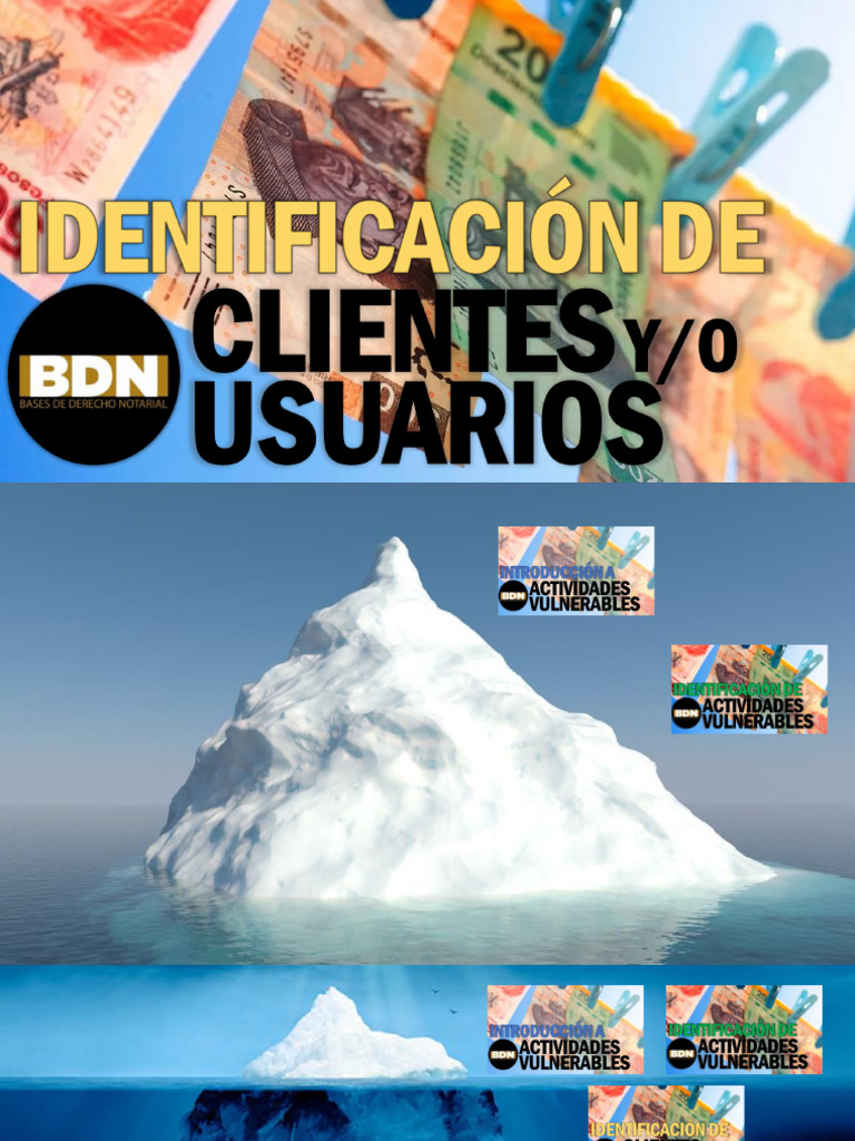 Módulo 3 - Identificación de Clientes o Usuarios | PDF
