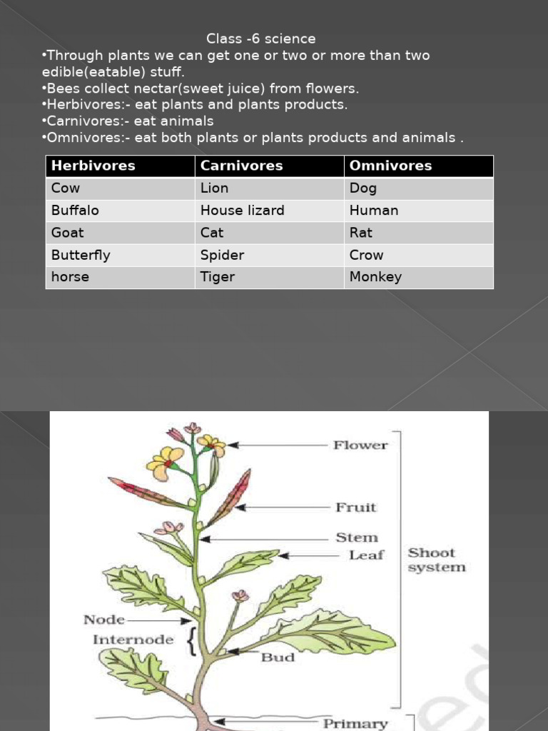 6 Thscience | PDF