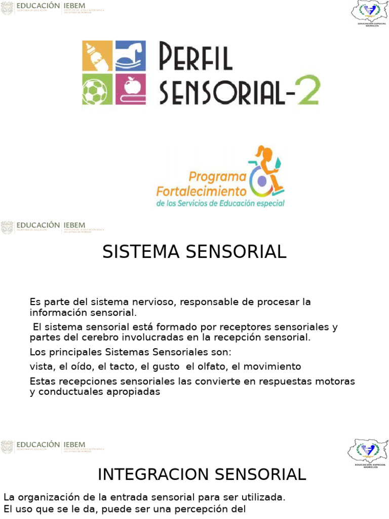 Perfil Sensorial 2 | PDF | Sentidos | Autorregulación emocional