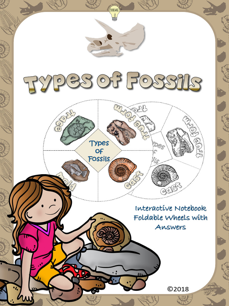 Fossil Types Interactive Foldable Guide | PDF