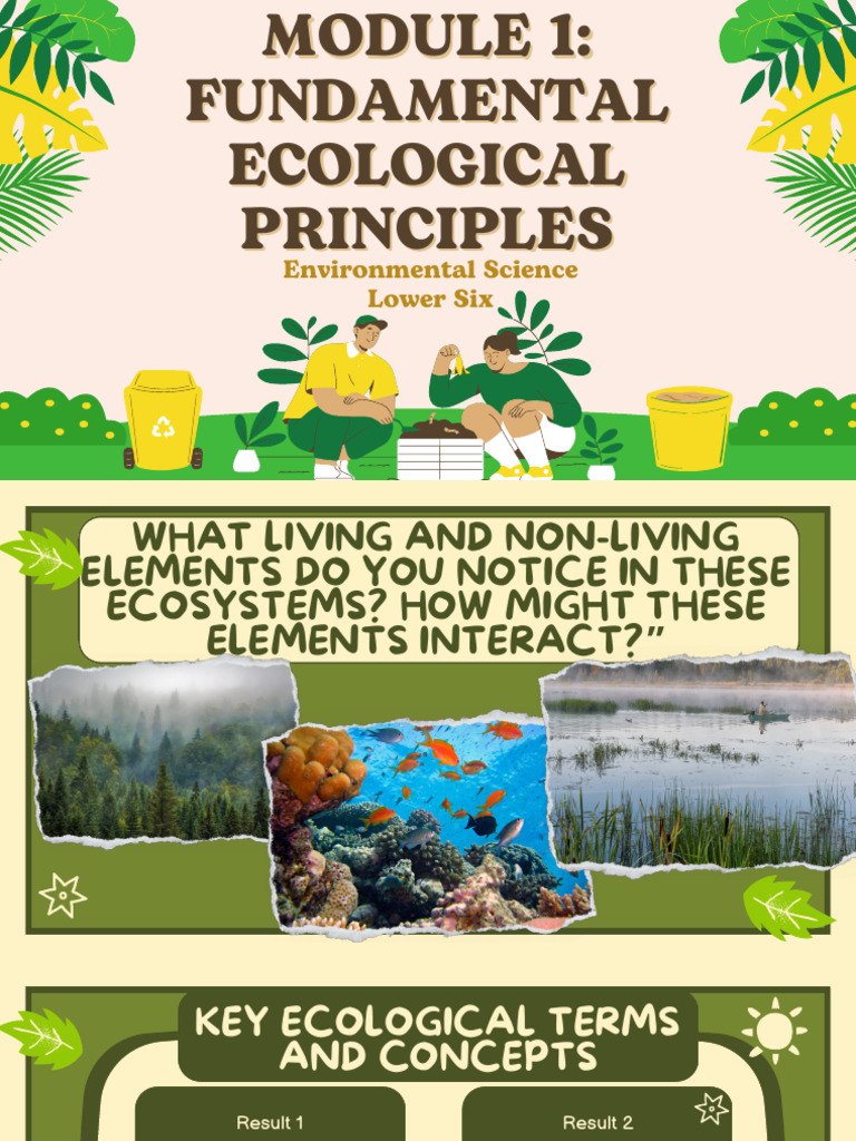 Ecological Principles and Energy Flow | PDF | Primary Production ...