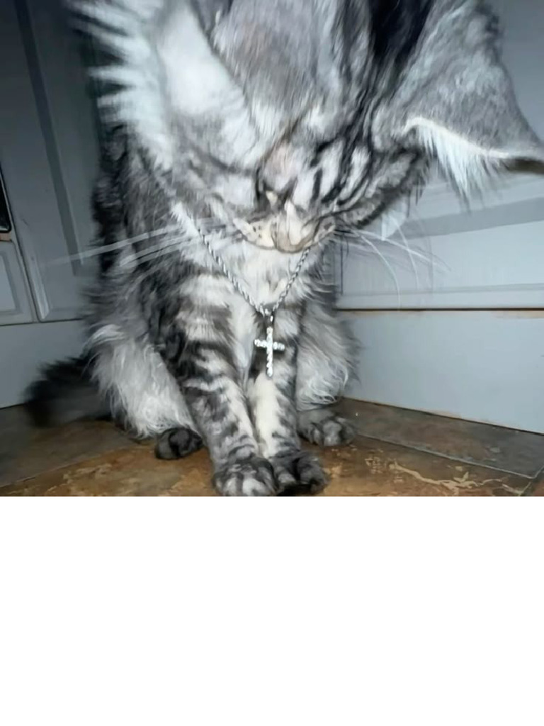 All PDF Reader 20250507 00.12.04 | PDF