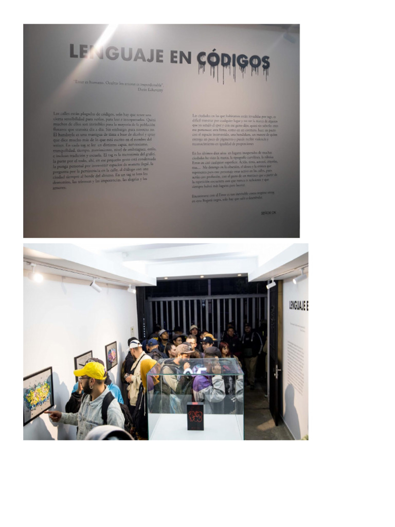 Registro Visual Exposición | PDF