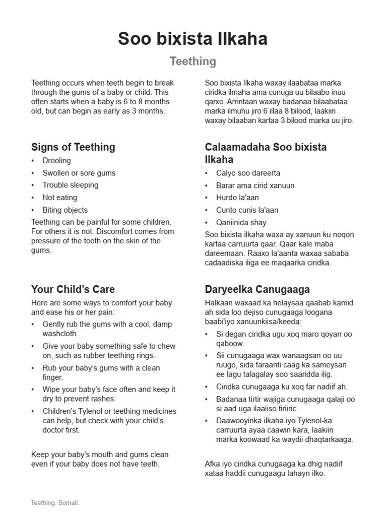 Child Dental Teething - SOM | PDF | Dentistry Branches | Dental Anatomy