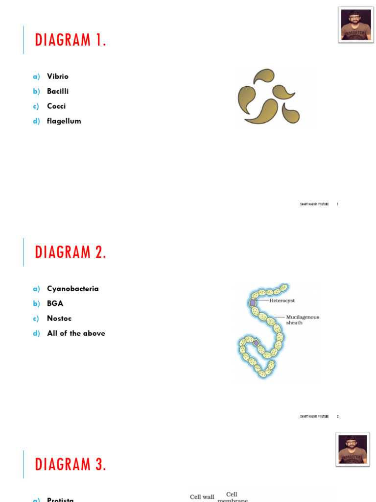 NCERT DIAGRAM (Class 11th) .. | PDF