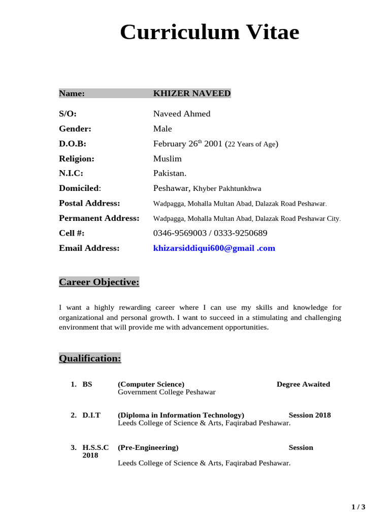 CV - Khizer Naveed-2 | PDF