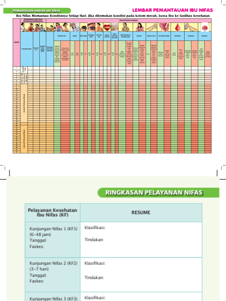 Nifas Buku KIA 2023-Dikompresi | PDF
