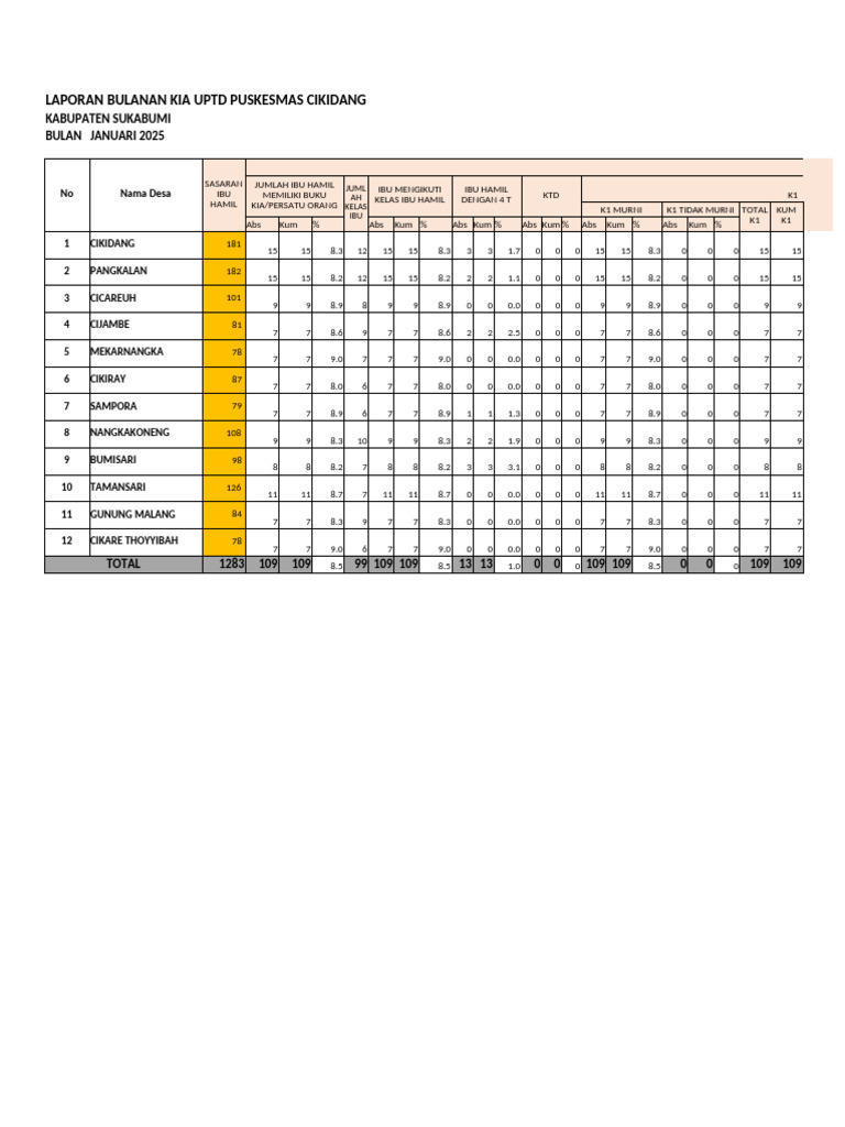 PWS Kia CKDG 2025 | PDF