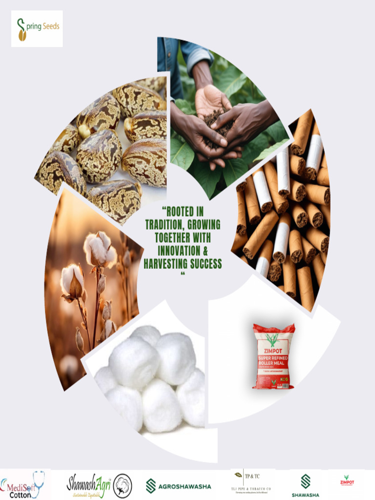 Spring Seeds Banner | PDF