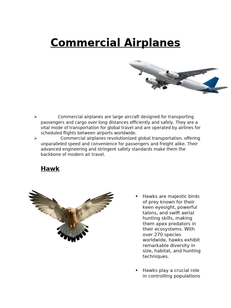 Lab-2 - Task-4 (Clip Art, Shapes, Pictures and Hyperlink) | PDF | Transport