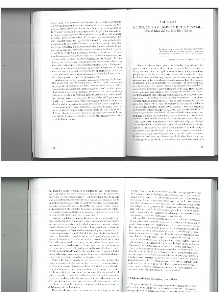 Antropo | PDF