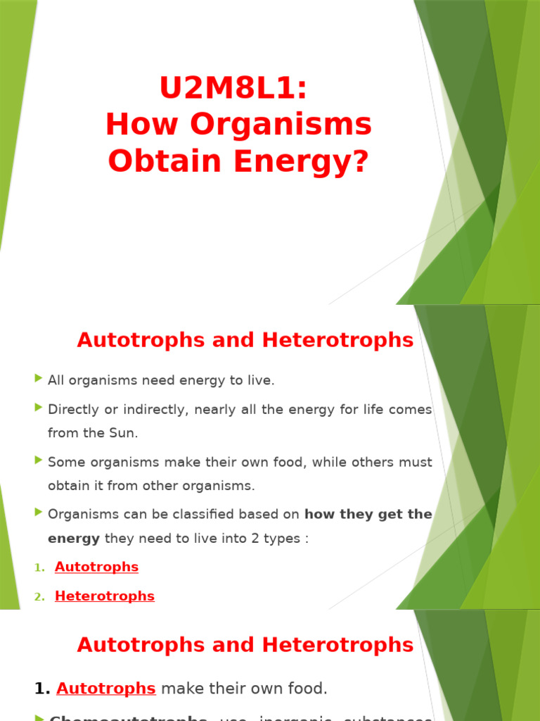 How Organisms Obtain Energy | PDF | Metabolic Pathway | Metabolism
