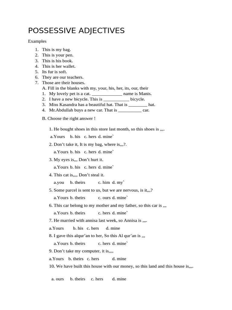 Possessive Adjectives Kls 7 | PDF