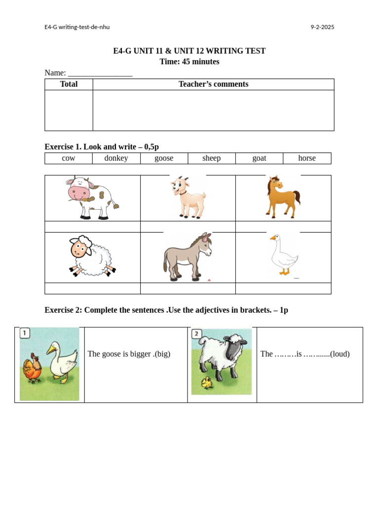 E4-G Unit 11 & Unit 12 Writing Test | PDF | Zoology