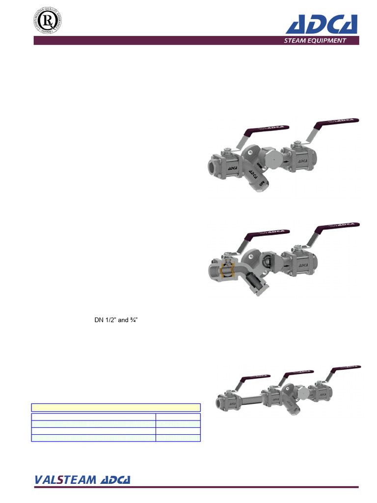 Compact Steam Trap Station CTS4U | PDF | Valve | Steam