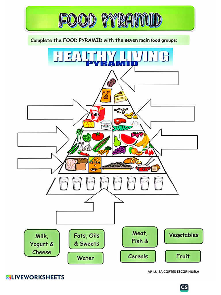 G2 - Science Prep | PDF