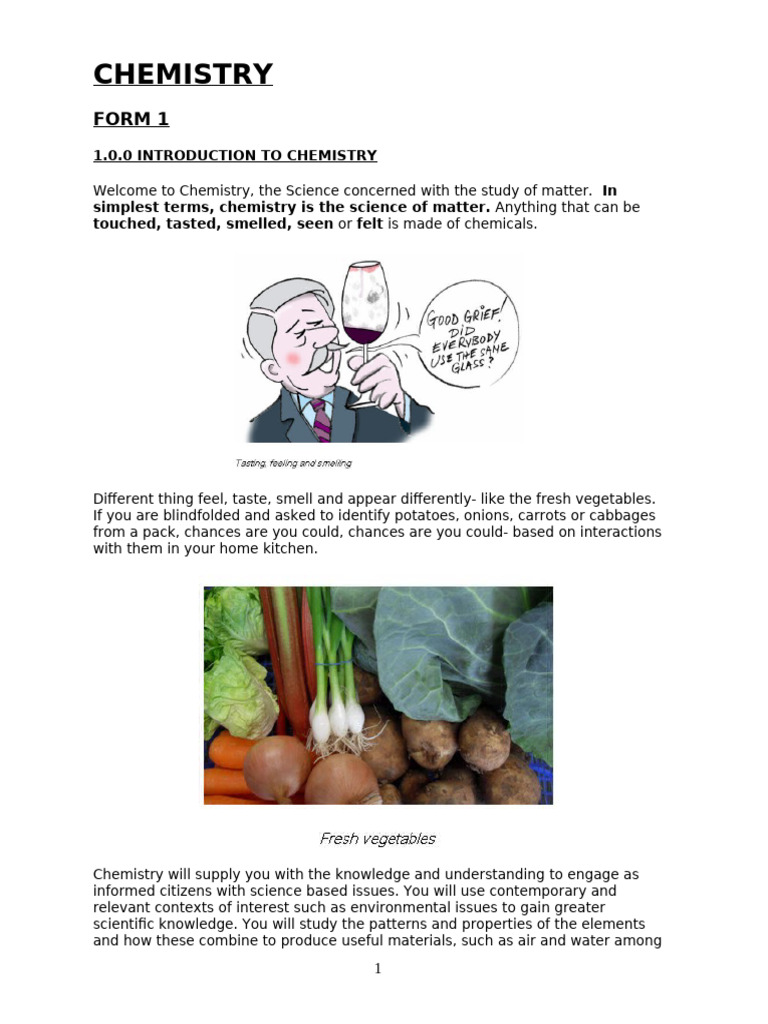 form 1 guide | PDF | Chemical Elements | Chemical Compounds