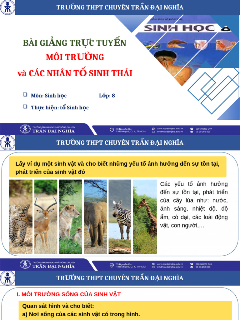 KHTN - Sinh Học - 8 - HKII - Bài 38 - Môi Trường Và Các Nhân Tố Sinh Thái - Bài Giảng - 2023 ...