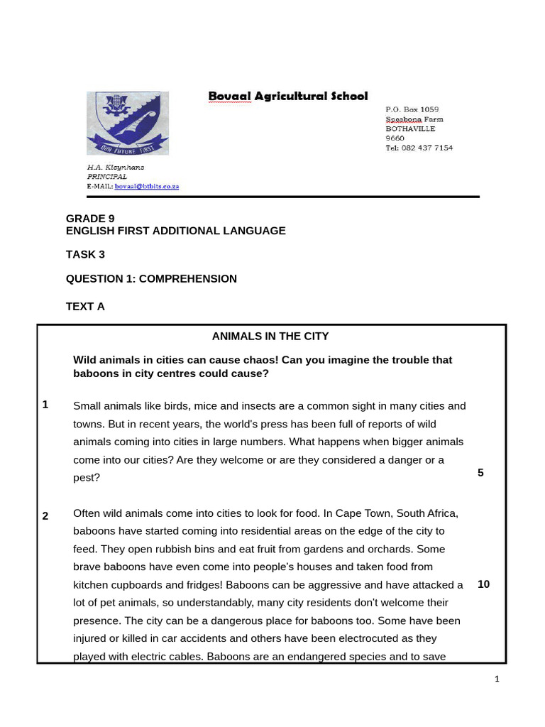 2025 EFAL GR 9 Term 1 Task 3 | PDF | Advertising | Dogs