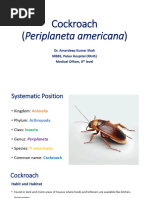 Cockroach Ncert | PDF