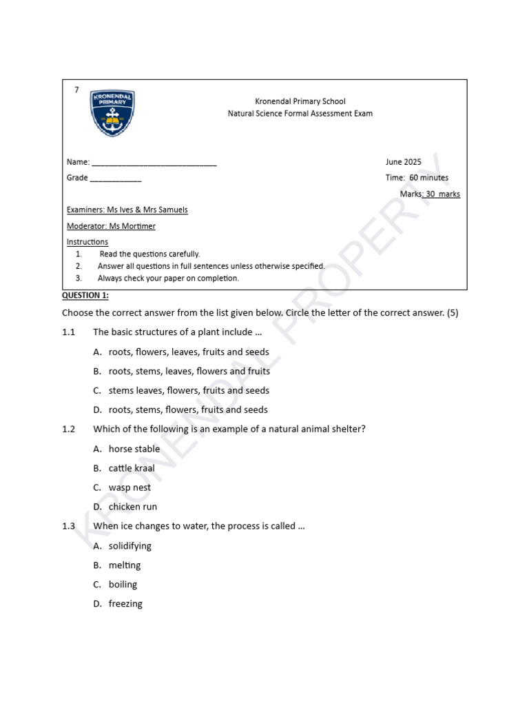 Grade 9 Natural Science June Exam 2025 | PDF | Ice Cream