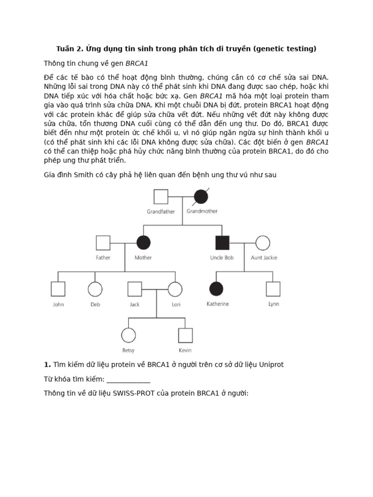 Exercise Week 2 | PDF