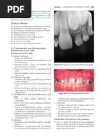 Teeth Eruption and Calcification Chart | PDF | Tooth | Human Head And Neck