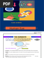 Class 10 Human Eye Notes PDF | PDF