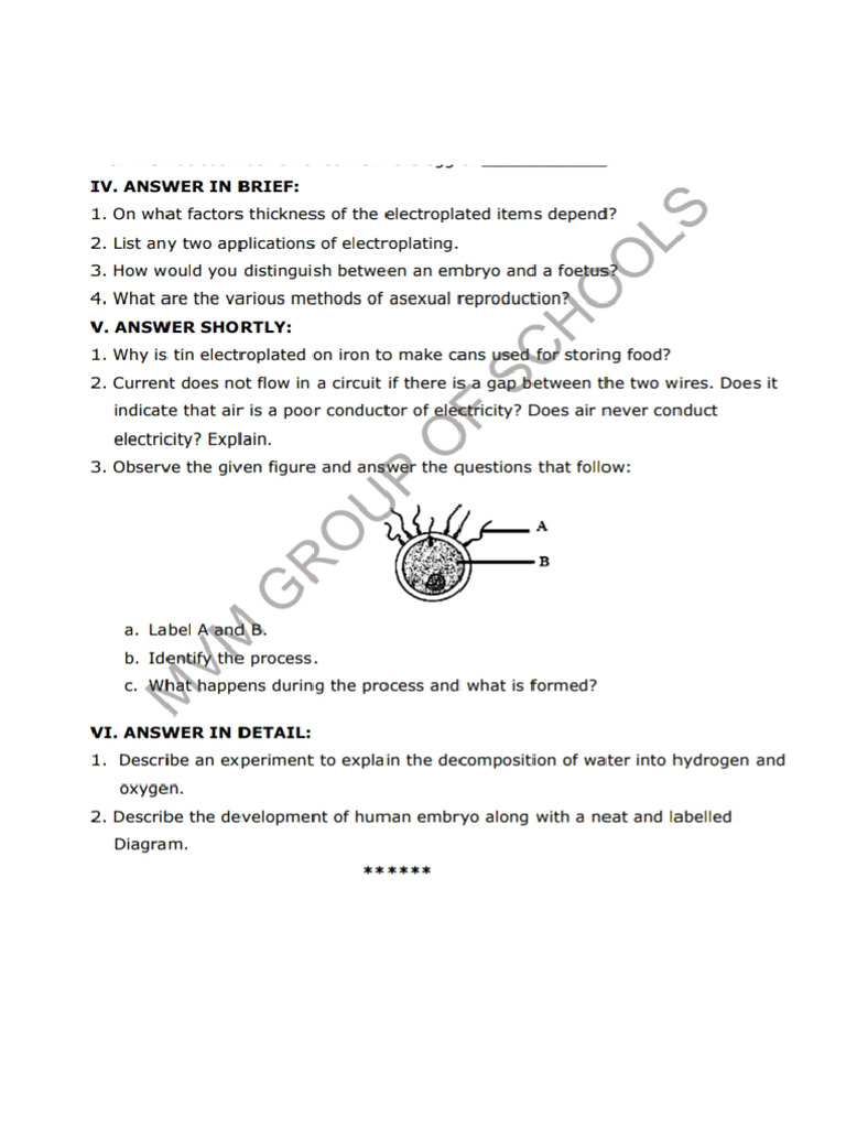 Worksheet Grade 8 | PDF