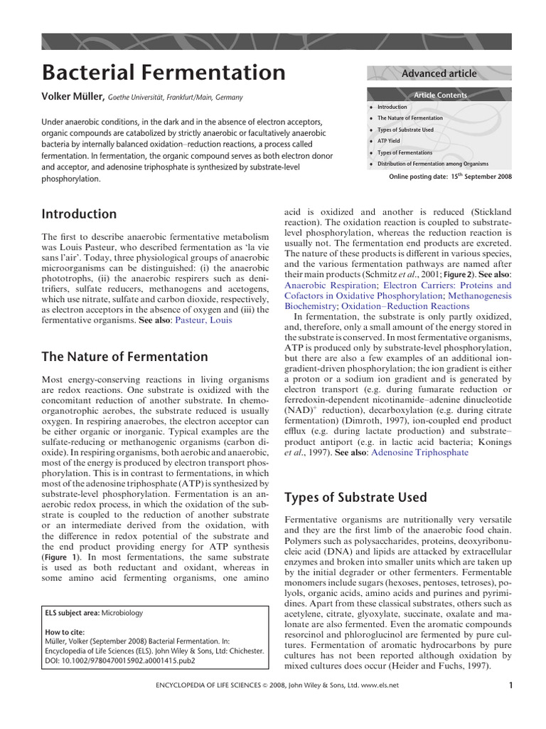 Bacterial Fermentation-Muller | PDF | Fermentation | Cellular Respiration