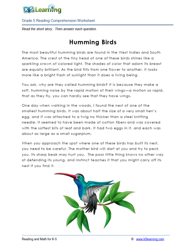 Hummingbirds Reading Comprehension Test | PDF | Birds