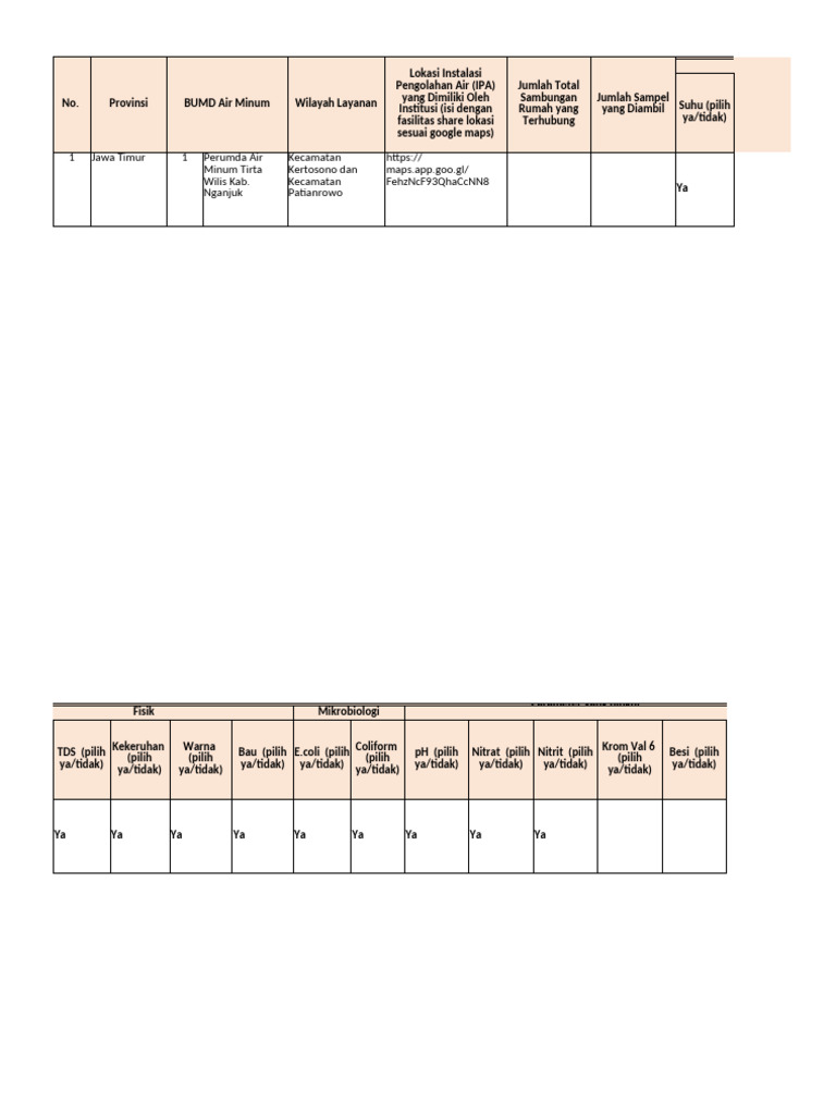 Salinan Format Pelaporan Pengawasan Internal | PDF