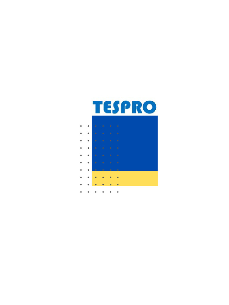 Tespro Company Profile - 2024 PDF | PDF | Business