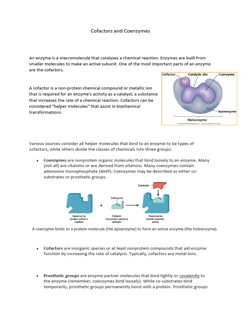 Cofactors and Coenzymes | PDF | Cofactor (Biochemistry) | Enzyme