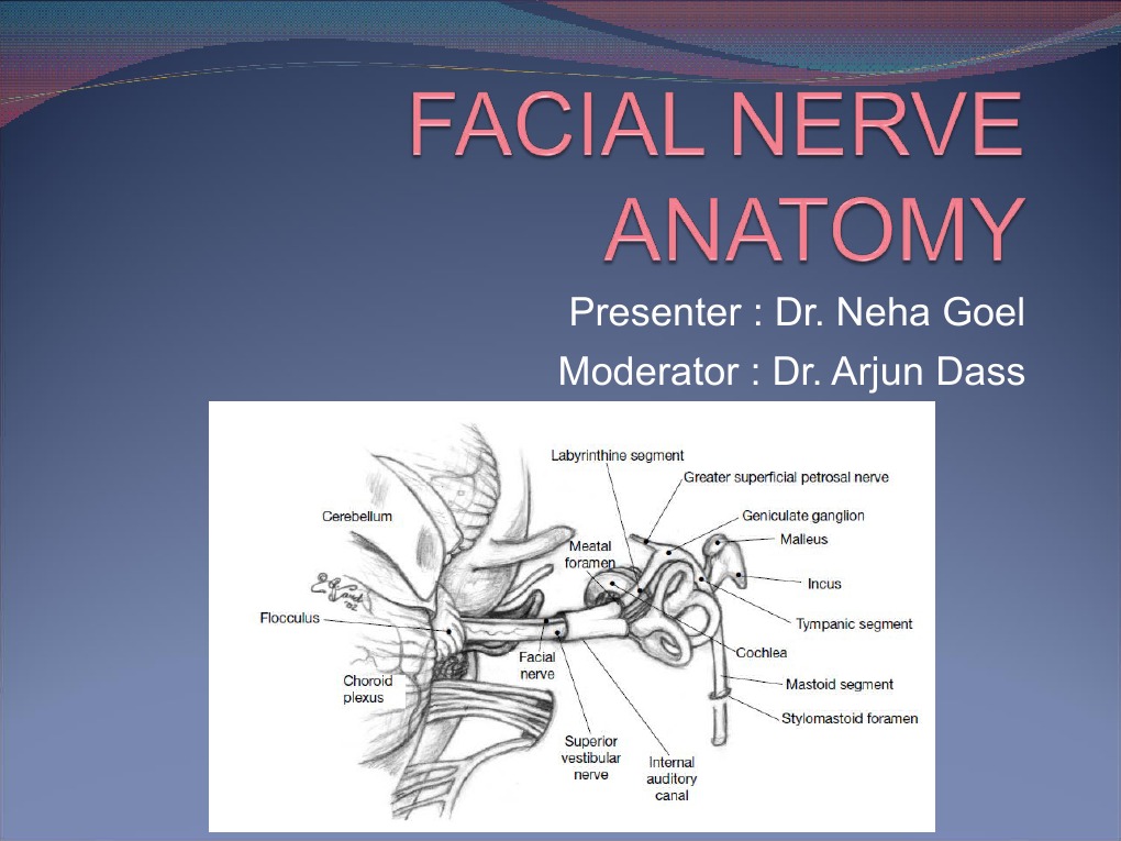 Facial Nerve Anatomy and Its Disorders | PDF