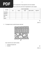 The Integumentary Answer Key | PDF | Integumentary System | Epidermis