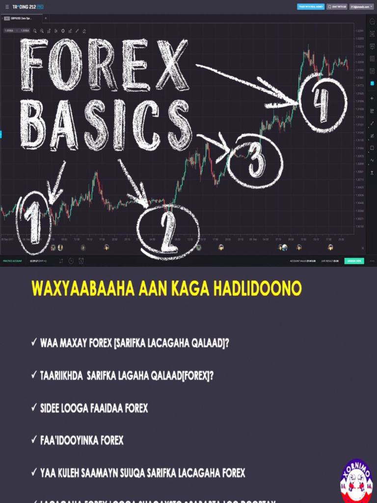 1 Basic Forex Pdf