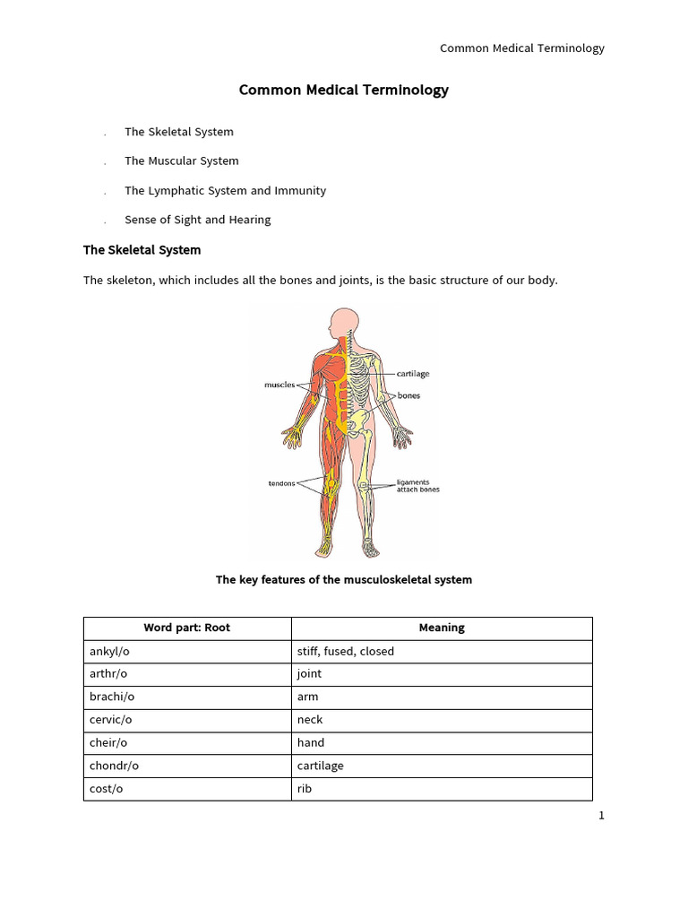 Common Medical Terminology | PDF | Lymphatic System | Skeleton